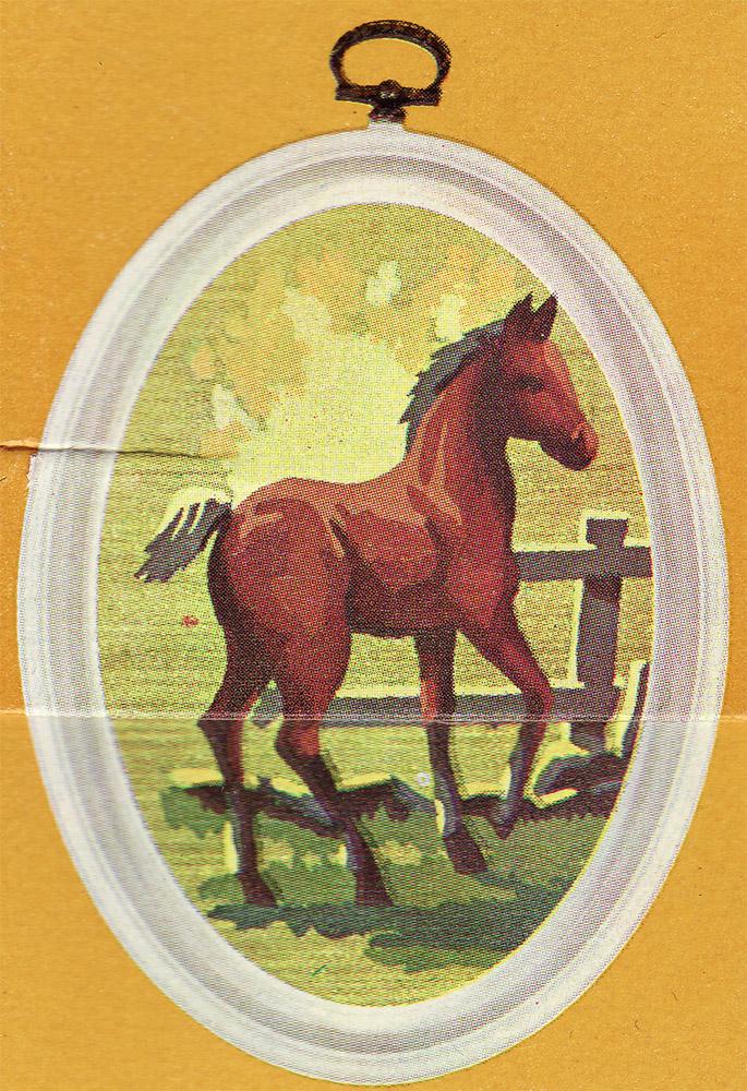 Kentucky Colts (28WWWW) | Paint By Number Museum