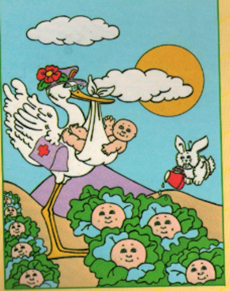 Cabbage Patch (8PPPP) | Paint By Number Museum
