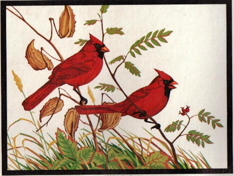 Cardinals (29AAA4) | Paint By Number Museum