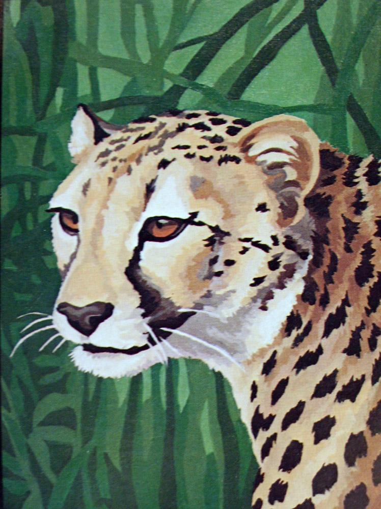 Cheetah (36QQQ4) | Paint By Number Museum