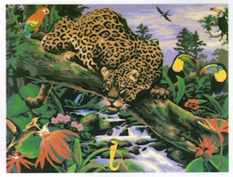 Rain Forest (13ZZZ4) | Paint By Number Museum