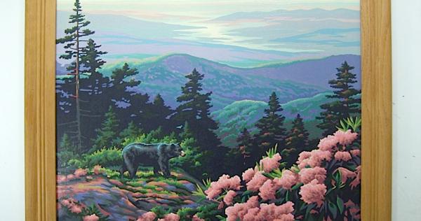 UNKNOWN (5YYY) | Paint By Number Museum