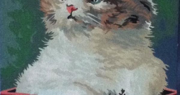 Kitten Cuties (27X2) | Paint By Number Museum