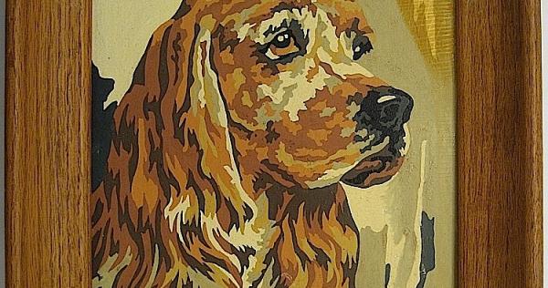 Cocker Spaniel (37S) | Paint By Number Museum