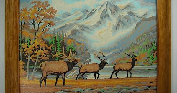 Elk (4DD2) | Paint By Number Museum